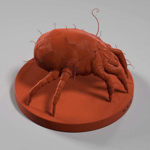 🌬️ Highly Detailed Dust Mite – Scientific 3D Printable Model・ STL File ...
