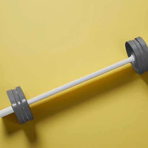 🎨 Barbells 3 3D Model STL Printable for Resin・ STL File for 3D printing ...