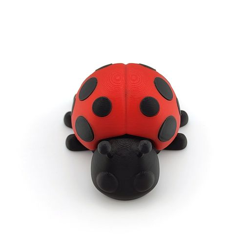 🐞 Articulating Ladybug - Multicolor and Split Color・ 3D File for 3D ...