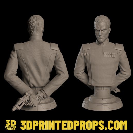 👤 Busto del Gran Almirante Thrawn・Archivo STL para Impresión 3D・Cults