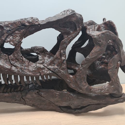 💀 Allosaurus skull・3D Print with the Bambu lab P1S 3D printer・Cults