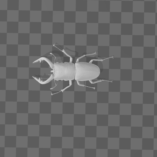 STL file Scanned Sawtooth Stag Beetle (Prosopocoilus inclinatus) 🪲 ...