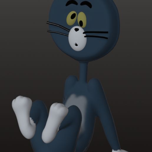 tom the cat flat face