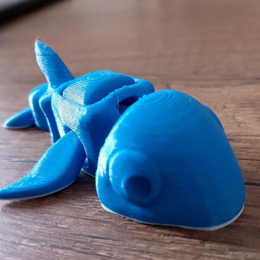🐠 Nice talking fish Flexi・3D Print with the Creality Ender 3 Pro 3D ...
