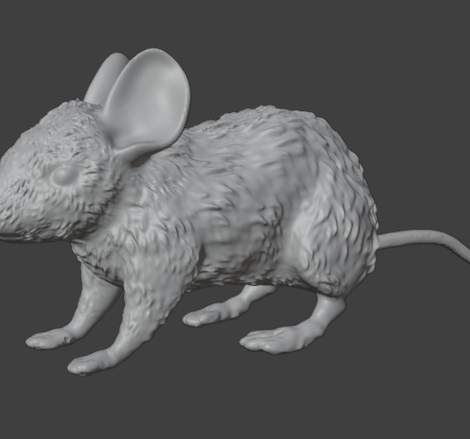 Free STL file House mouse 🏠 ・Design to download and 3D print・Cults