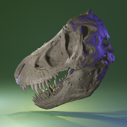 t rex scan