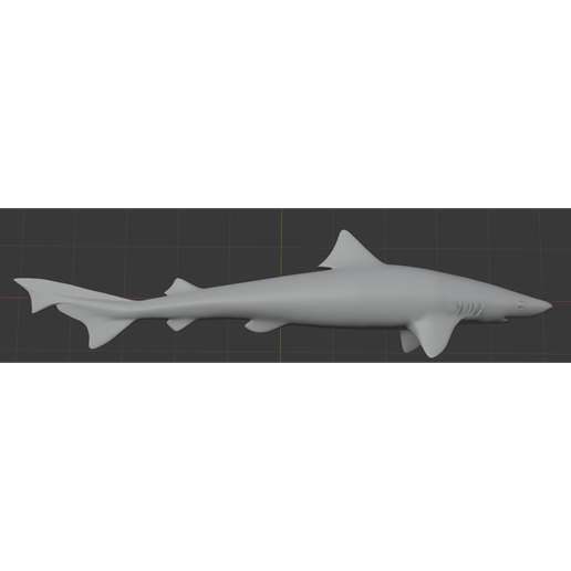 🐕 Spiny Dog Fish (Shark)・ STL File for 3D printing・Cults