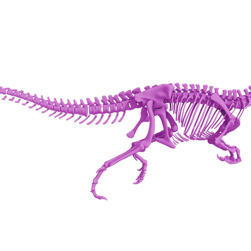 💀 Allosaurus: Complete skeleton・ STL File for 3D printing and CNC ...