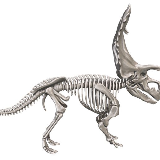 💀 Titanoceratops: Complete skeleton・ STL File for 3D printing and CNC ...