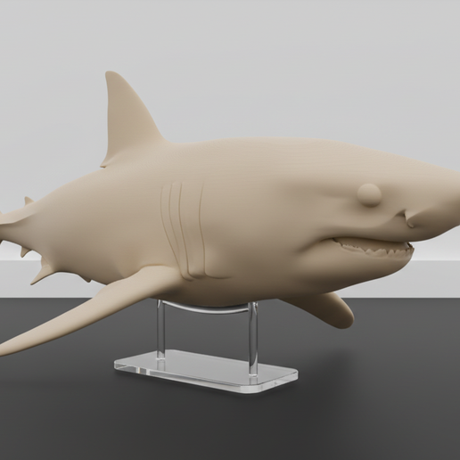 🦈 Shark・Free STL File for 3D printing・Cults