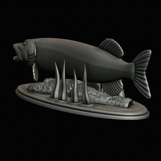 🐠 fish NORTHERN PIKE (ESOX LUCIUS) in motion 2 natural base detailed ...