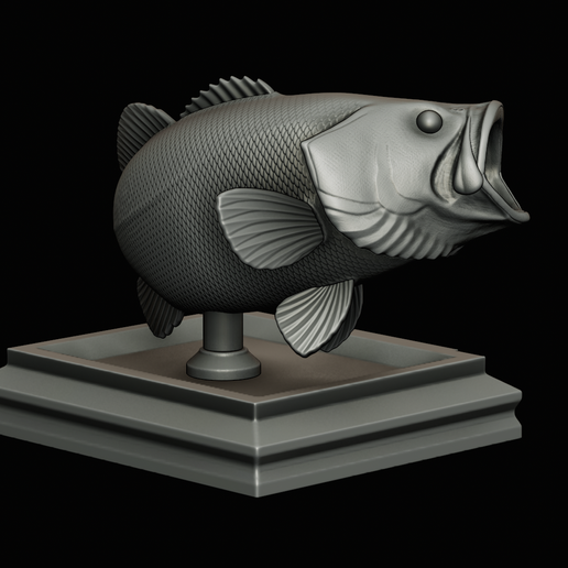 🐠 fish Largemouth Bass / Micropterus salmoides trophy statue detailed ...