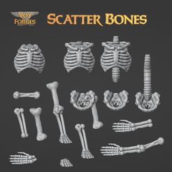 Bone best 3D printing models・1.3k designs to download・Cults