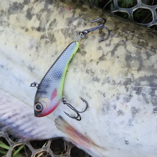 Archivo STL VIBE LURE 🎣 ・Diseño para descargar y imprimir en 3D・Cults