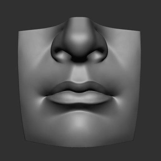 ️ David Facial Anatomy – Anatomic Study Models Collection STL+OBJ・ 3D ...