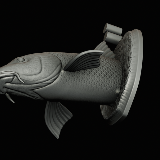 🐠 fish Common barbel / Barbus barbus head trophy woodbase statue ...