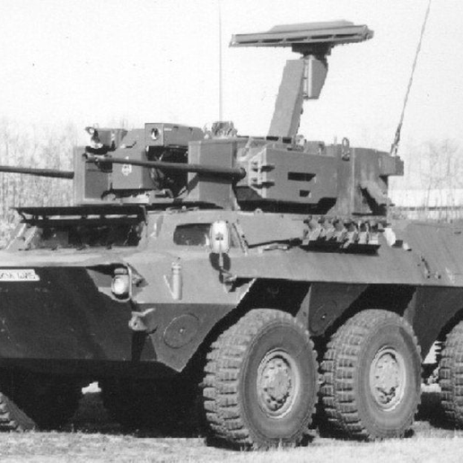 🪖 Wildcat SPAAG・ STL File for 3D printing・Cults