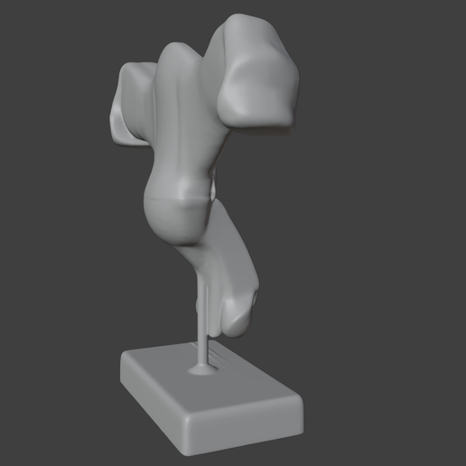 ♀️ 3D Female Genital Organs Model・ STL File for 3D printing・Cults