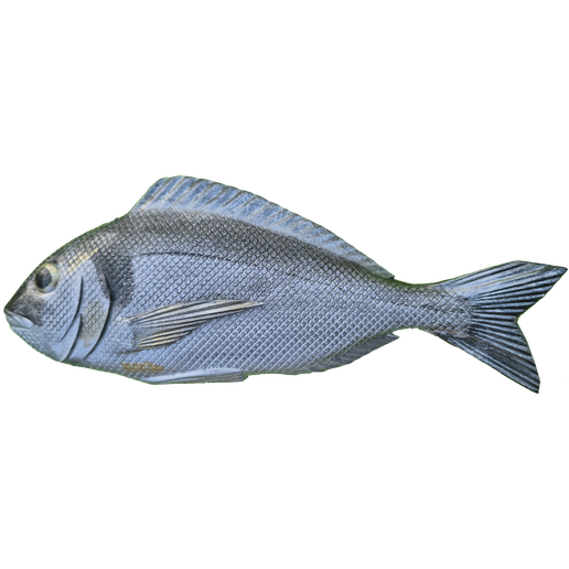 🐠 Sea Bream Fish・Fichier STL pour Impression 3D・Cults