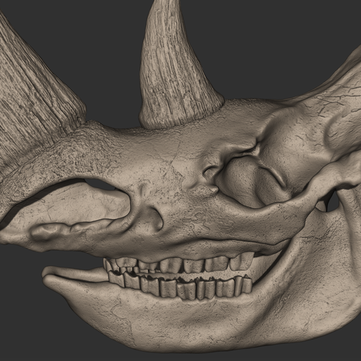 🦏 Woolly Rhinoceros 3D print model・ OBJ File for 3D printing・Cults