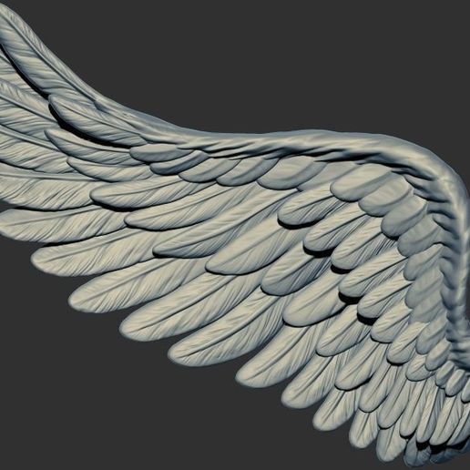 🪶 Wing model 3d printable model cnc・ 3D File for 3D printing and CNC ...