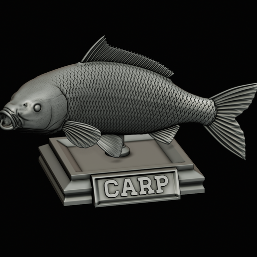 🎏 COMMON CARP (CYPRINUS CARPIO) fish trophy statue detailed texture for ...