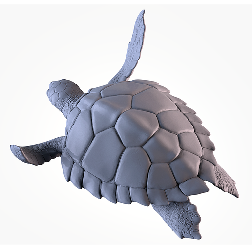 🐢 Turtle・ STL File for ・Cults