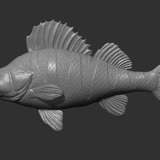 🐠 Perch fish on the base・ STL File for 3D printing and CNC machining ...