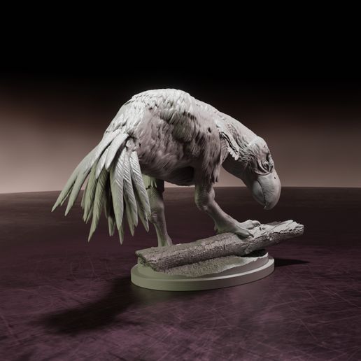🐦 Brontornis searching - pre-supported prehistoric bird・ STL File for ...