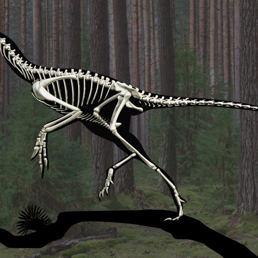 💀 Protoavis: Complete skeleton・ STL File for 3D printing and CNC ...