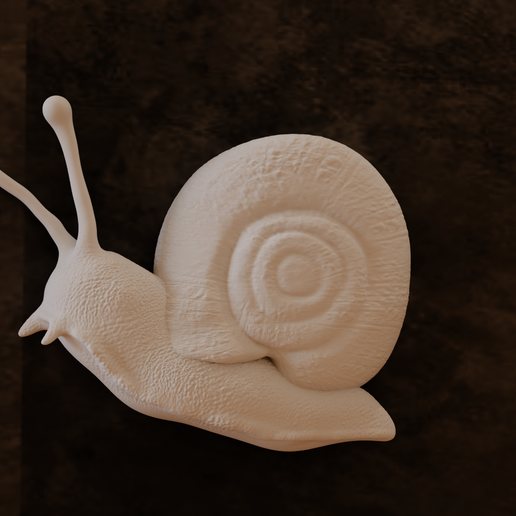 STL file snail wall mount sculpture stl 🐌 ・3D print design to download ...