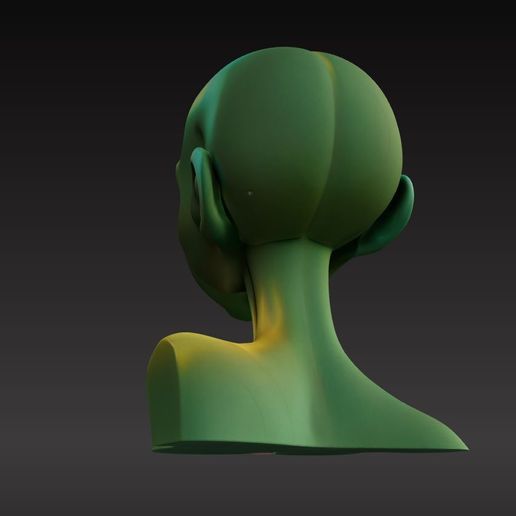 STL file human, STATUE,BUST,sculptures, busts 👥 ・3D print model to ...