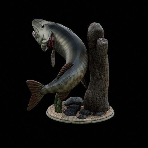 🐠 fish pike muskellunge muskie / Esox masquinongy fish in motion ...