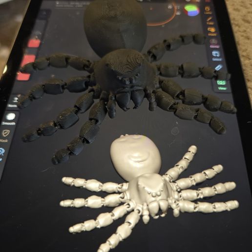 🕷️ Articulated Regal Jumping spider・Free 3MF File for 3D printing・Cults
