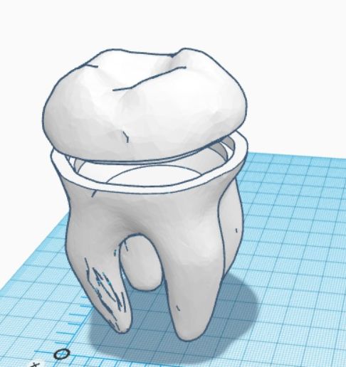 tooth 3d drawing