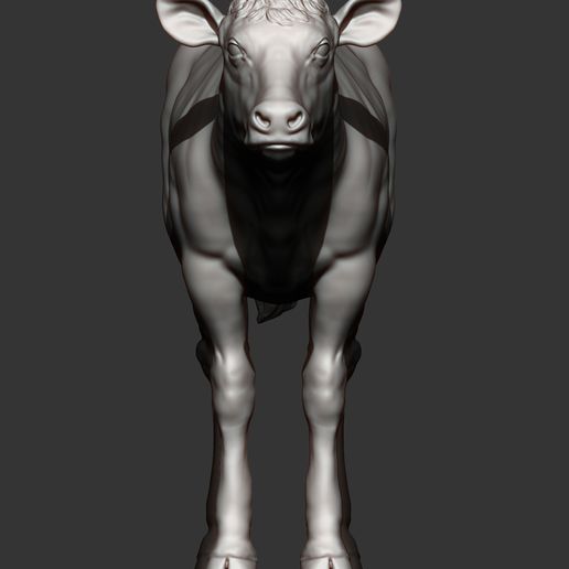 🐄 Calf 3D print model・ 3D File for ・Cults