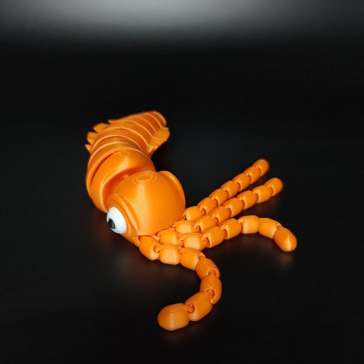 STL file FLEXI SQUID 🦑 (3MF)・3D printing design to download・Cults