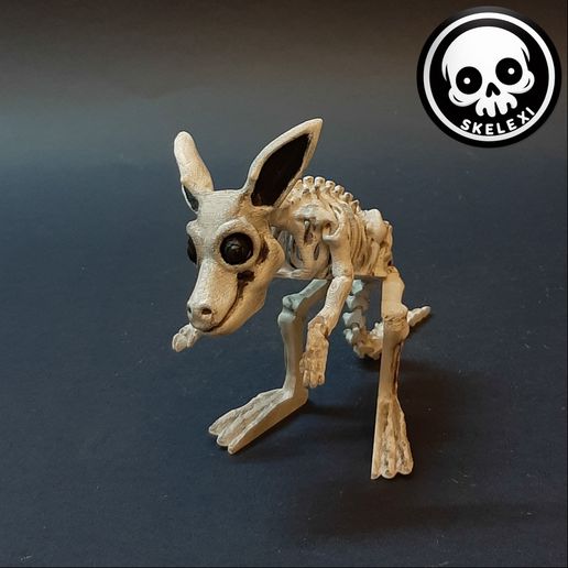 💀 Flexi Skeleton Kangaroo・ STL File for 3D printing・Cults