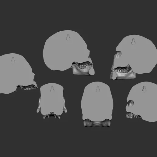 💀 Skull 3D wall Mounts・Free STL File for 3D printing・Cults