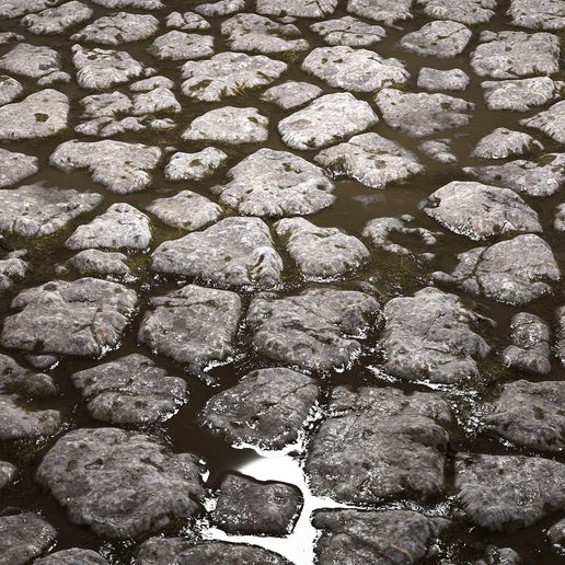 stone path pbr texture