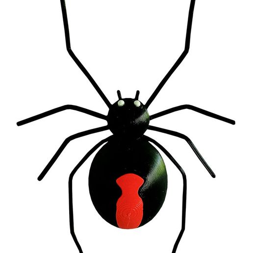 🕷️ Redback spider・Free STL File for ・Cults