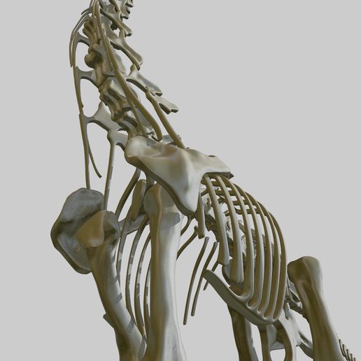 💀 Brachiosaurus: Complete skeleton・ STL File for 3D printing・Cults