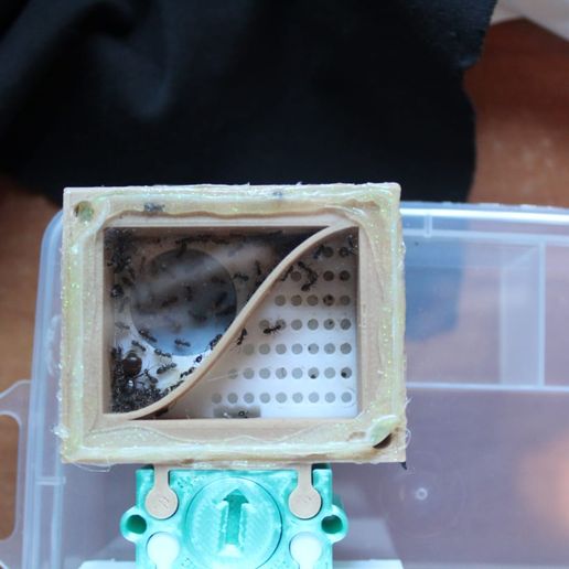 STL file BB3D ant nest for lasius or camponotus・3D printable model to ...