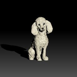 Mejores archivos para impresora 3D Perrito・961 modelos para descargar・Cults