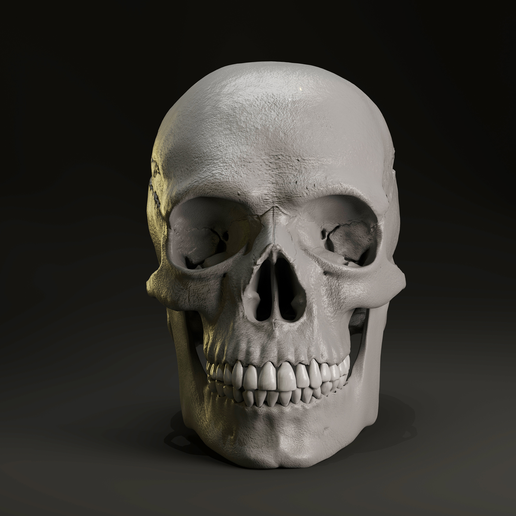💀 Skull・ STL File for 3D printing・Cults