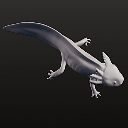 🦎 AXOLOTL・ STL File for 3D printing・Cults