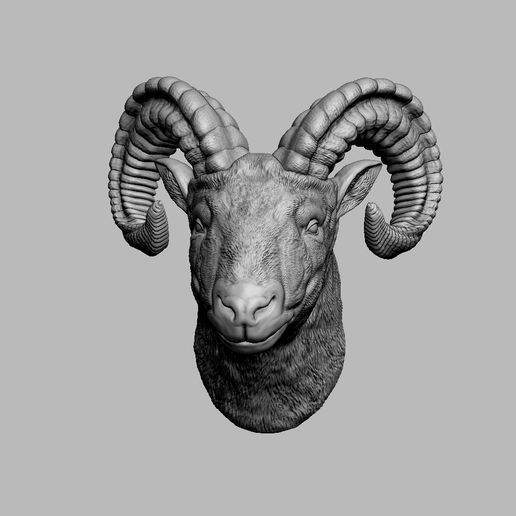 STL file Ram head bust, Animal head, Animal bust, Goat bust, Goat head ...