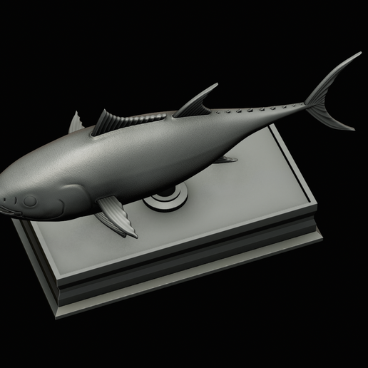 🐠 fish tuna bluefin / Thunnus thynnus with storage space / for 3d ...