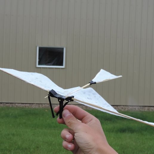 ornithopter bird