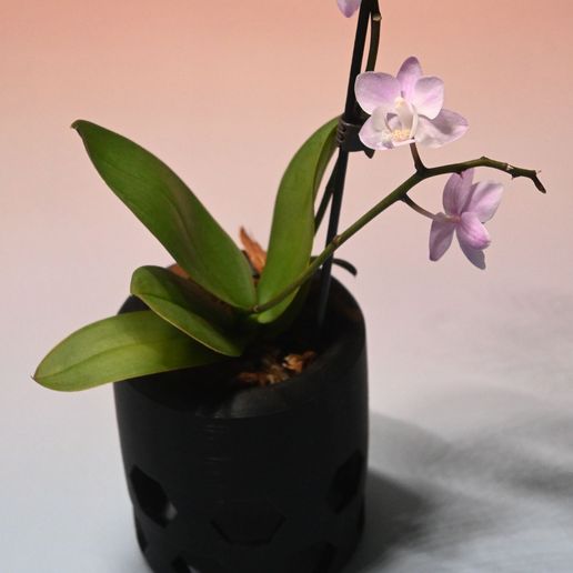 🪴 Orchid Pot — 3D Printed Nature-Inspired Plant Pot STL File・ STL File ...
